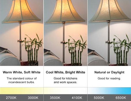 Conservation tips - Utilities Kingston